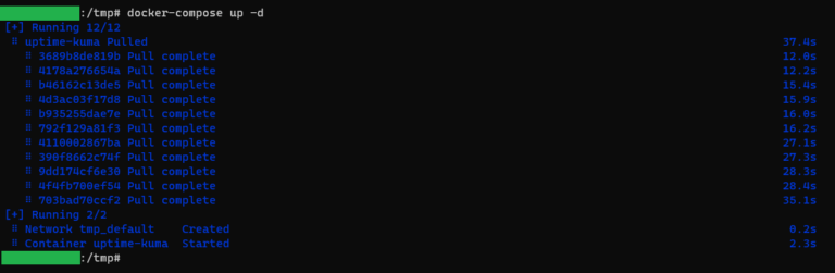 Monitoring Your Services with Uptime Kuma - David Petric